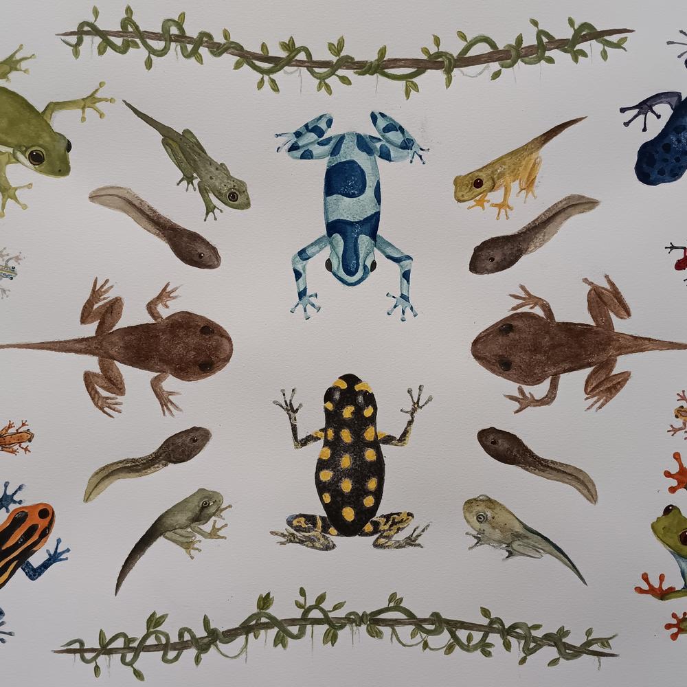 Westminster College Signs Articulation Agreement with BC3 \ Westminster ...